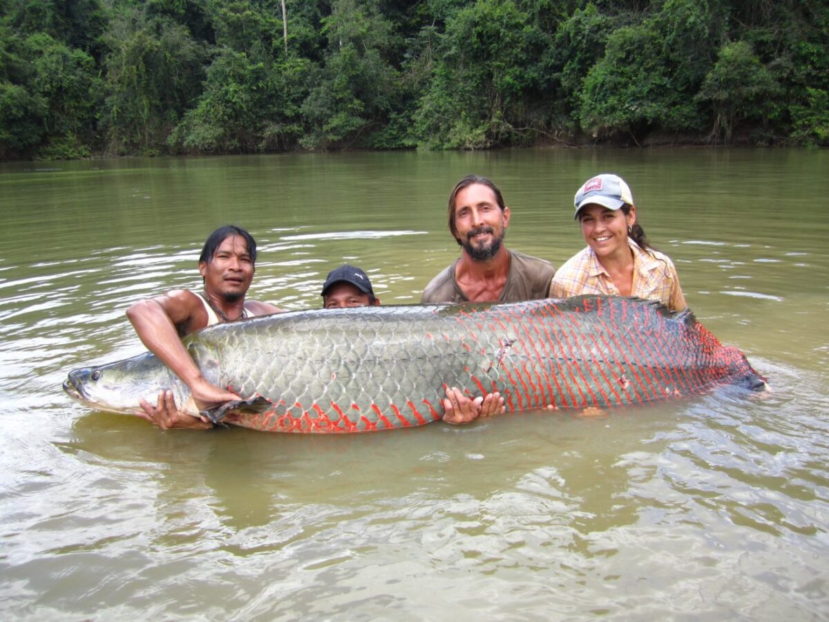 Guyana Is Home To a Diverse Range of Fish Species Due To Its Vast ...